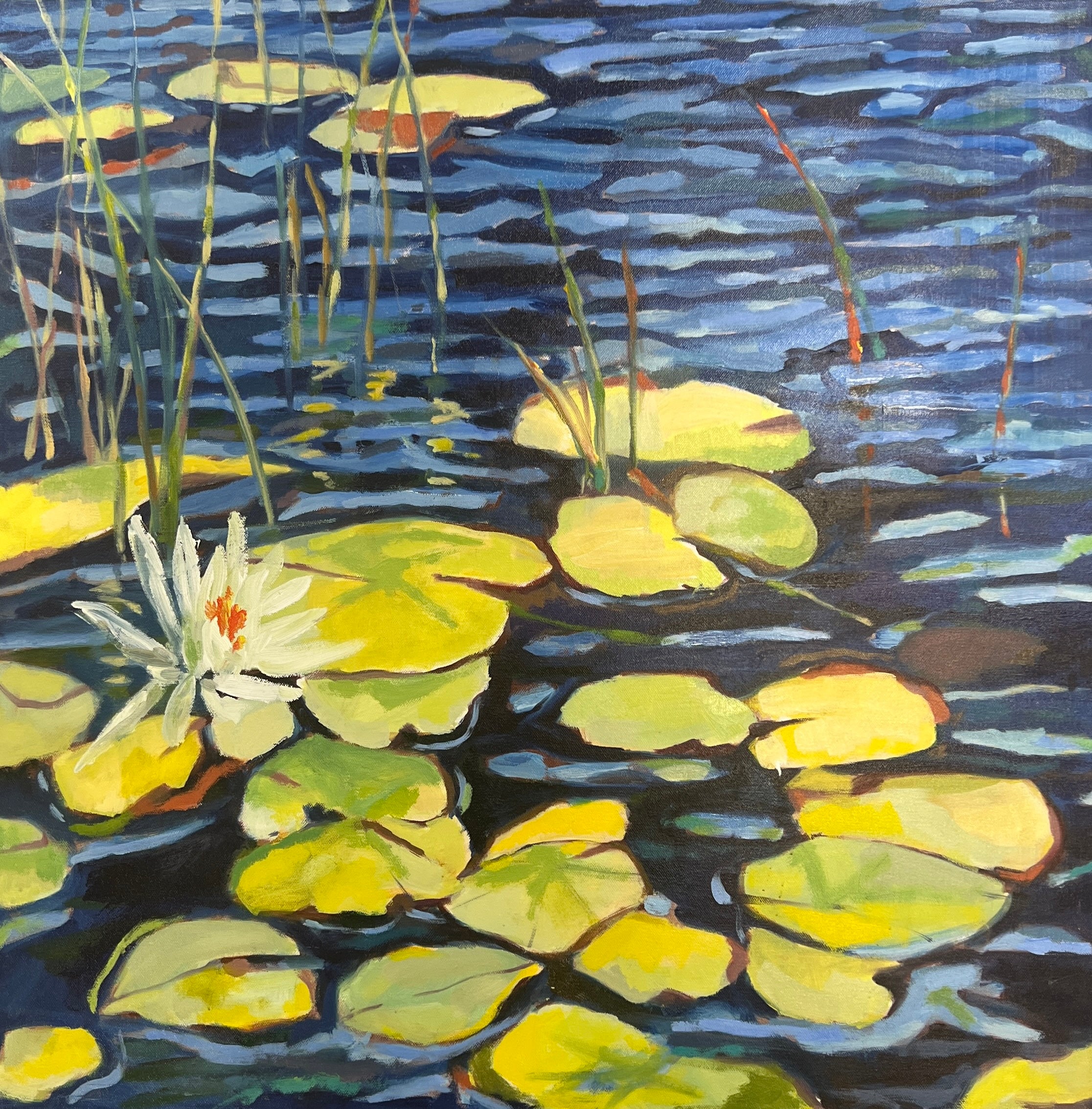 Rainbow Pond – Marcia Brandwein